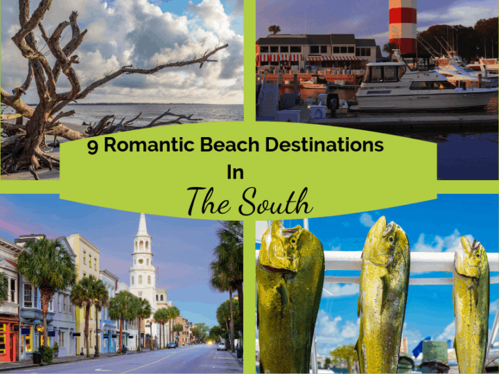 CRUISING: LITTLE GRAND CAY & GREEN TURTLE CAY - Betsi Hill Travel