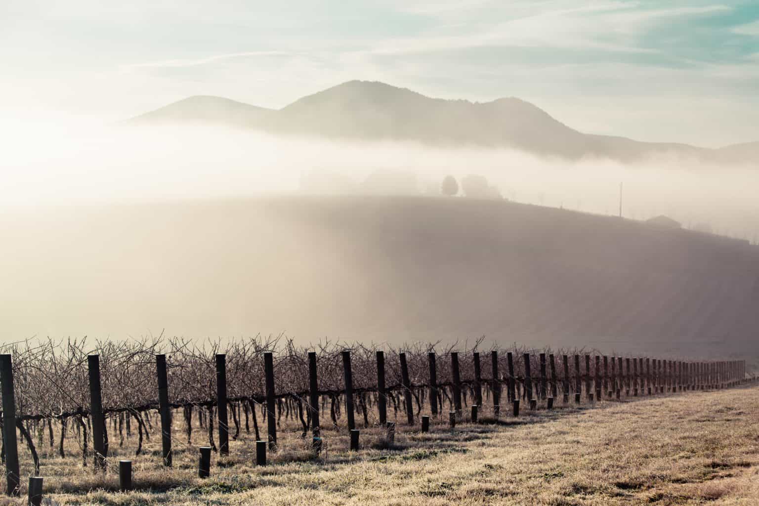 The Best Virginia Wineries To Visit This Winter - Luxury Travel ...